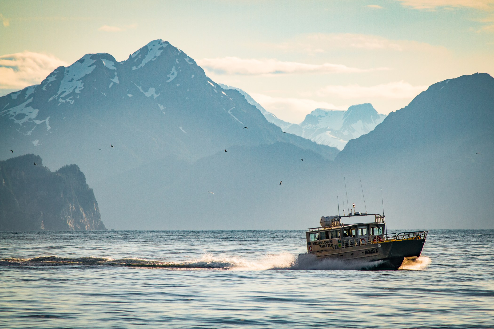 Seward Tides | Miller's Landing in Seward Alaska