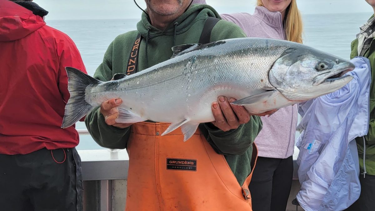 Best of Alaska: Fishing, Sightseeing, and Kayaking Full Day Trip