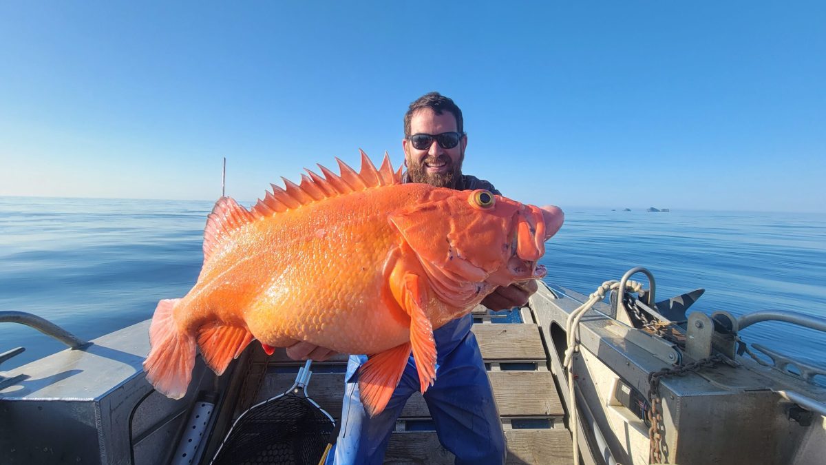 Best of Alaska: Fishing, Sightseeing, and Kayaking Full Day Trip