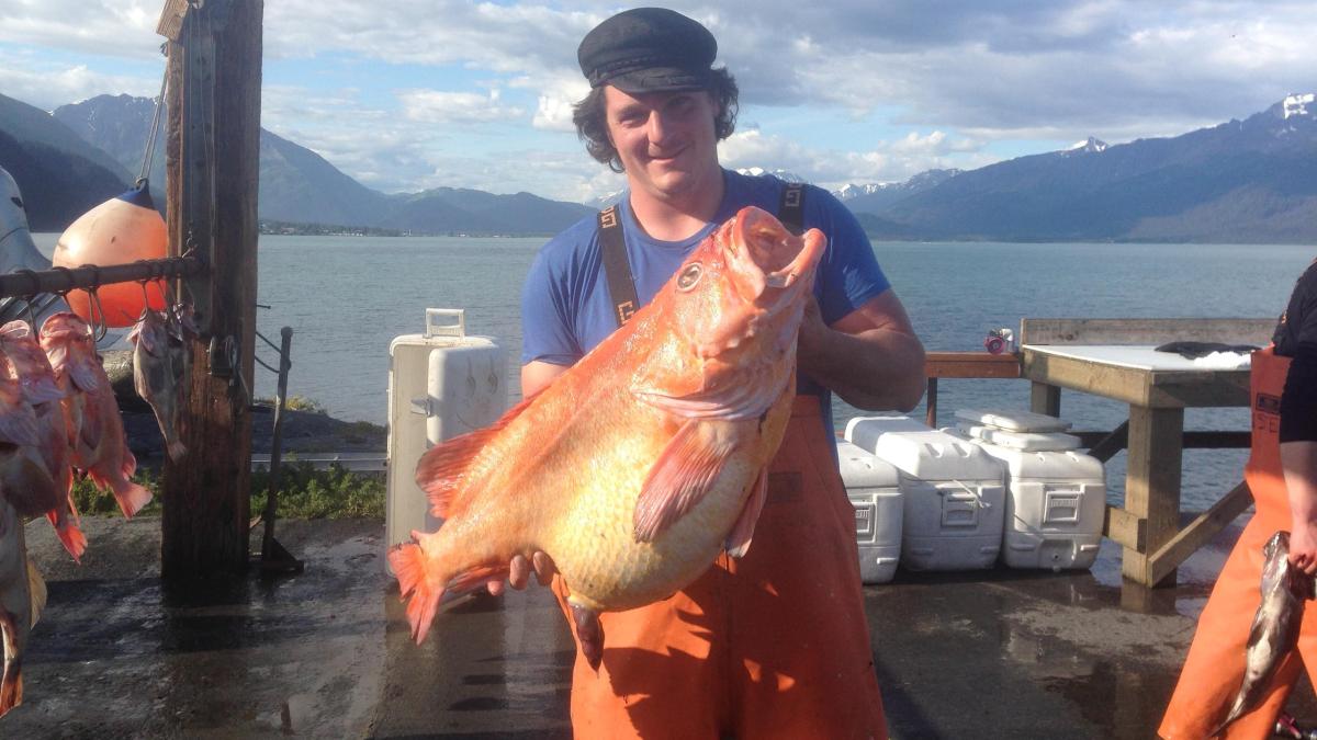 Seward Combo Fishing Charter | Miller's Landing