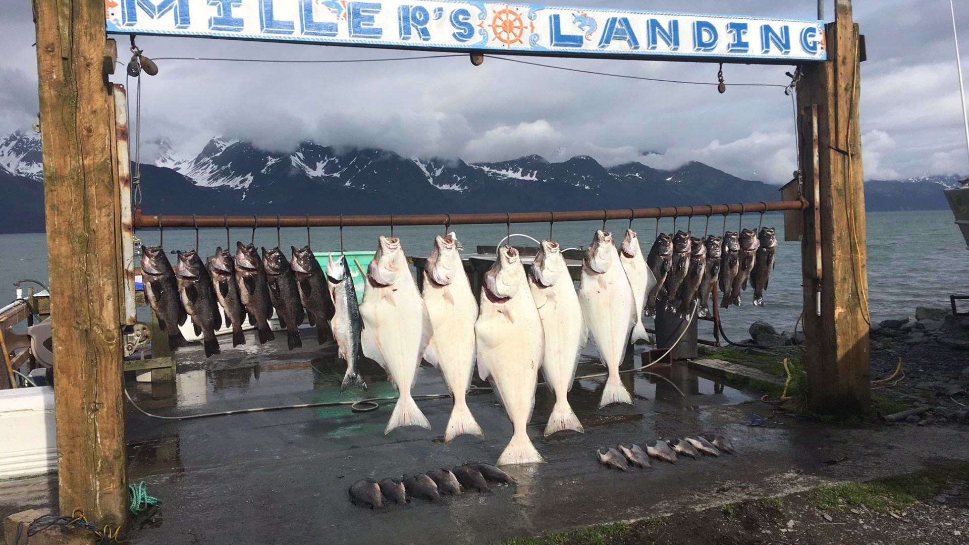 Fishing Charters in Seward, Alaska | Miller's Landing