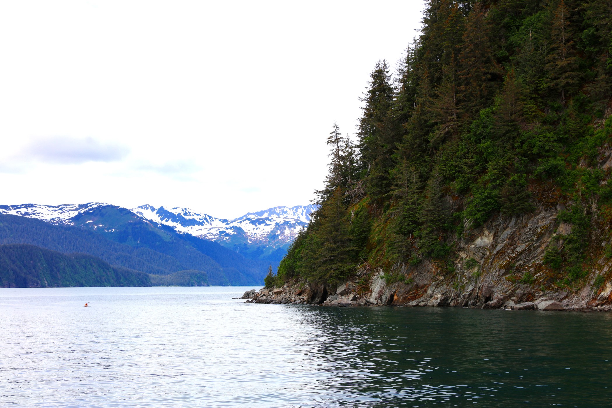 Caines Head Coastal Trail Hiking Tour in Seward, Alaska | Miller's Landing