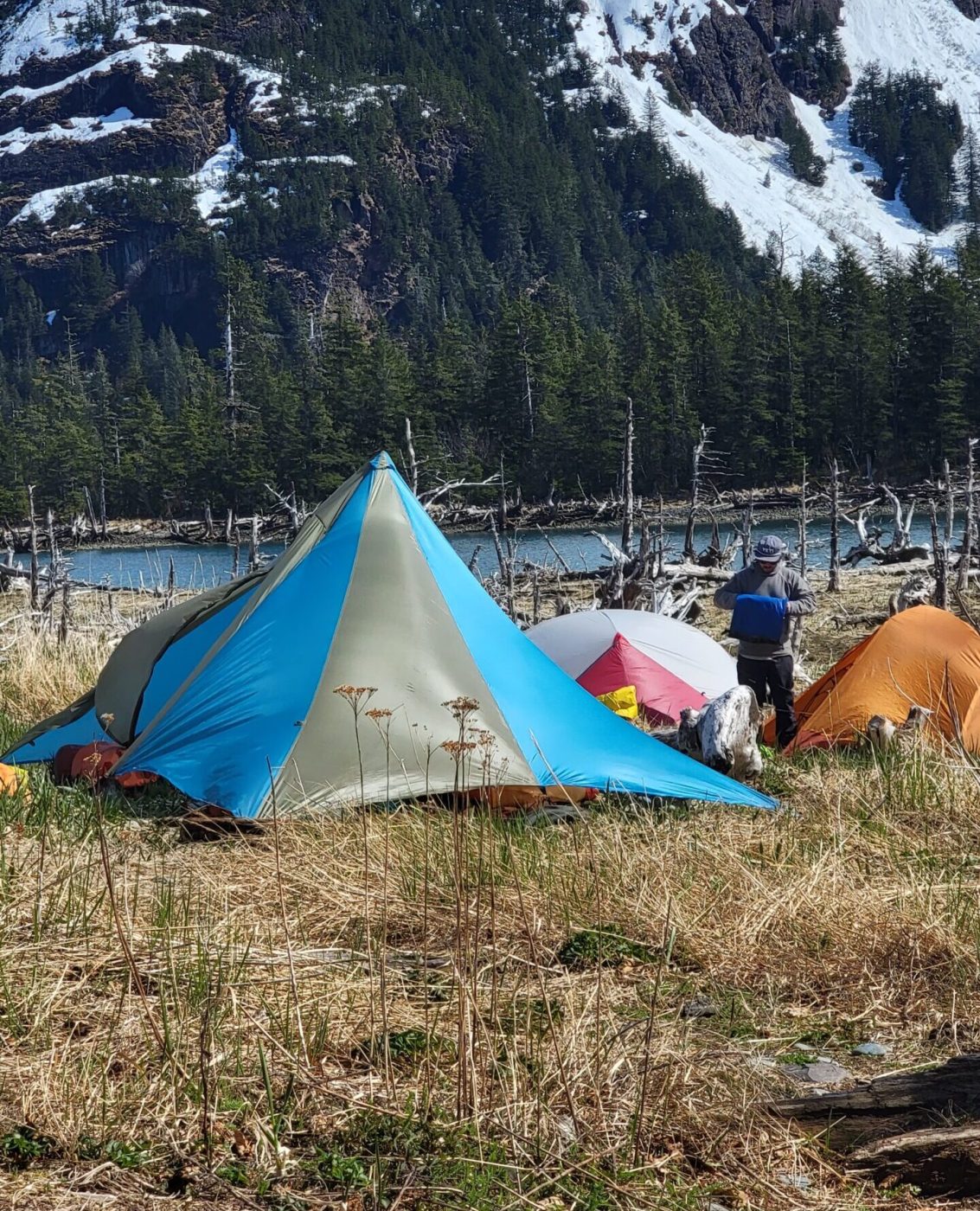 Resurrection Bay Guided Overnight Kayaking | Miller's Landing
