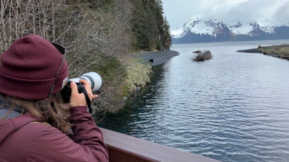 Tonsina Beach Guided Paddle | Miller's Landing