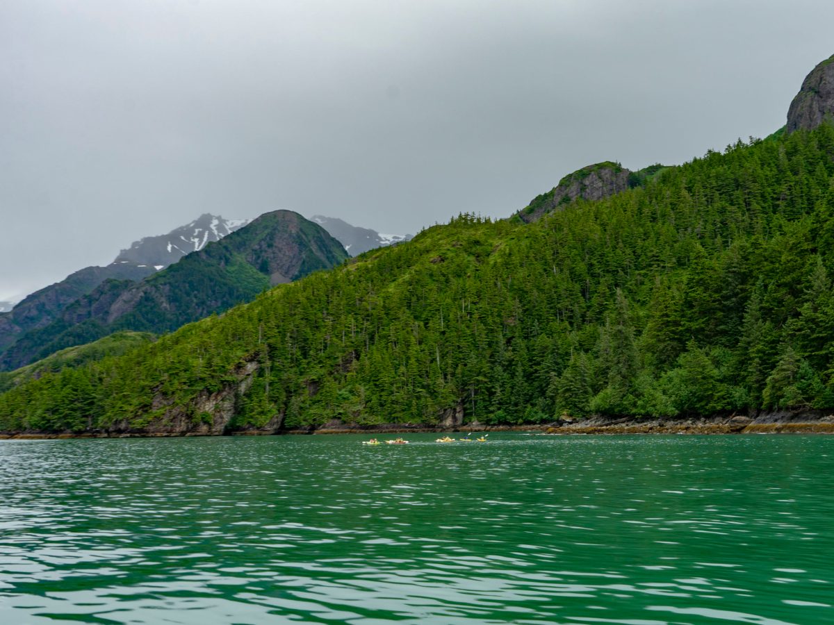 Humpy Cove Water Taxi | Miller's Landing