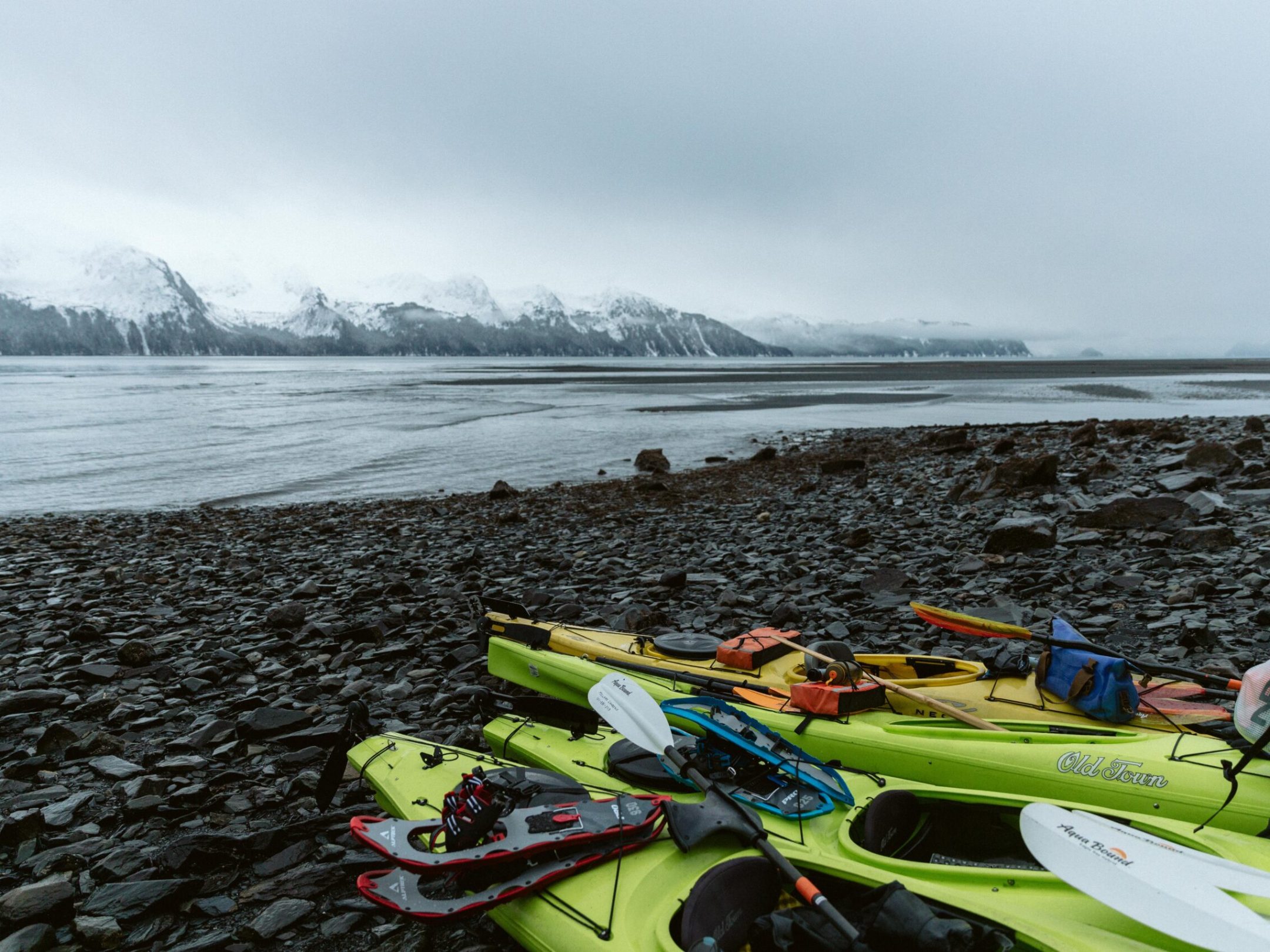 Seward Kayaking Sightseeing and Hiking | Miller's Landing